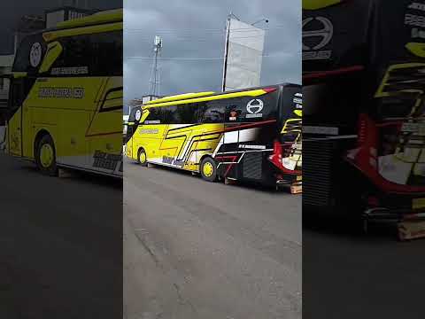 NADA VIRAL MODUL DAV MUSICAL AIR HORN BUS RIZKY PUTRA 168 "BOCEPROVIR ...