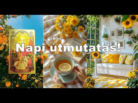 Napi útmutatás! Mit gondol, mit érez és mit fog tenni? +munka és pénzügyek