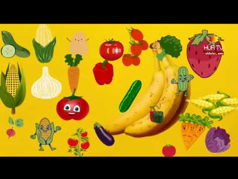 NUR ÇOCUKLARDAN VİDEO KONFERANS RİSALE-İ NUR DERSİ | SÖZLER / DÖRDÜNCÜ SÖZ