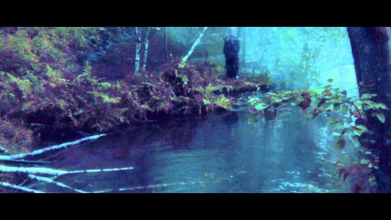 Shamanic dream of Yaga - YouTube