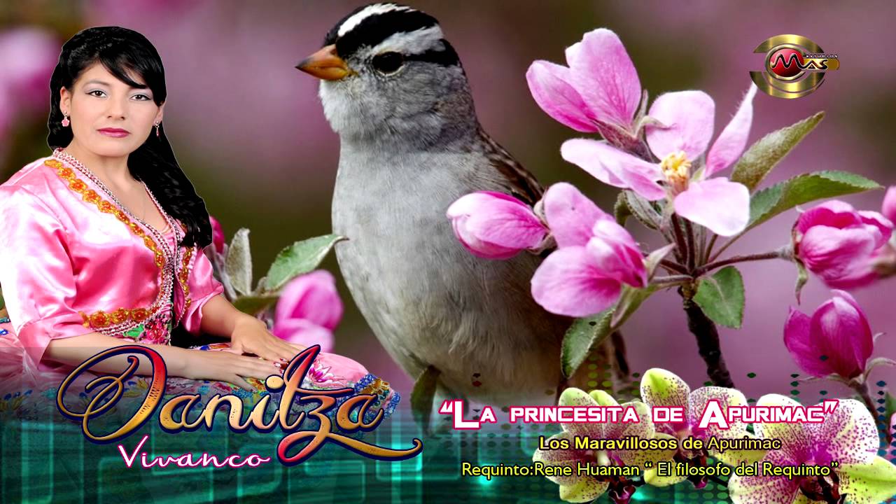 Danitza Vivanco 2016 - YouTube