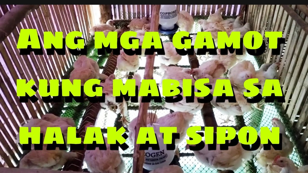 Ang mga gamot na mabisa Tara manood para magka roon kayo Ng mga tips ...