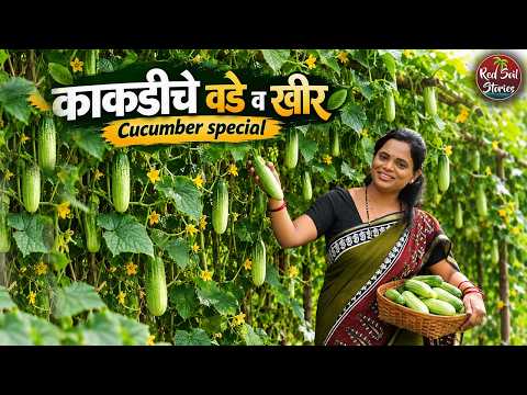 काकडीचे वडे व खीर | Cucumber Special | Village Cooking | Red Soil Stories
