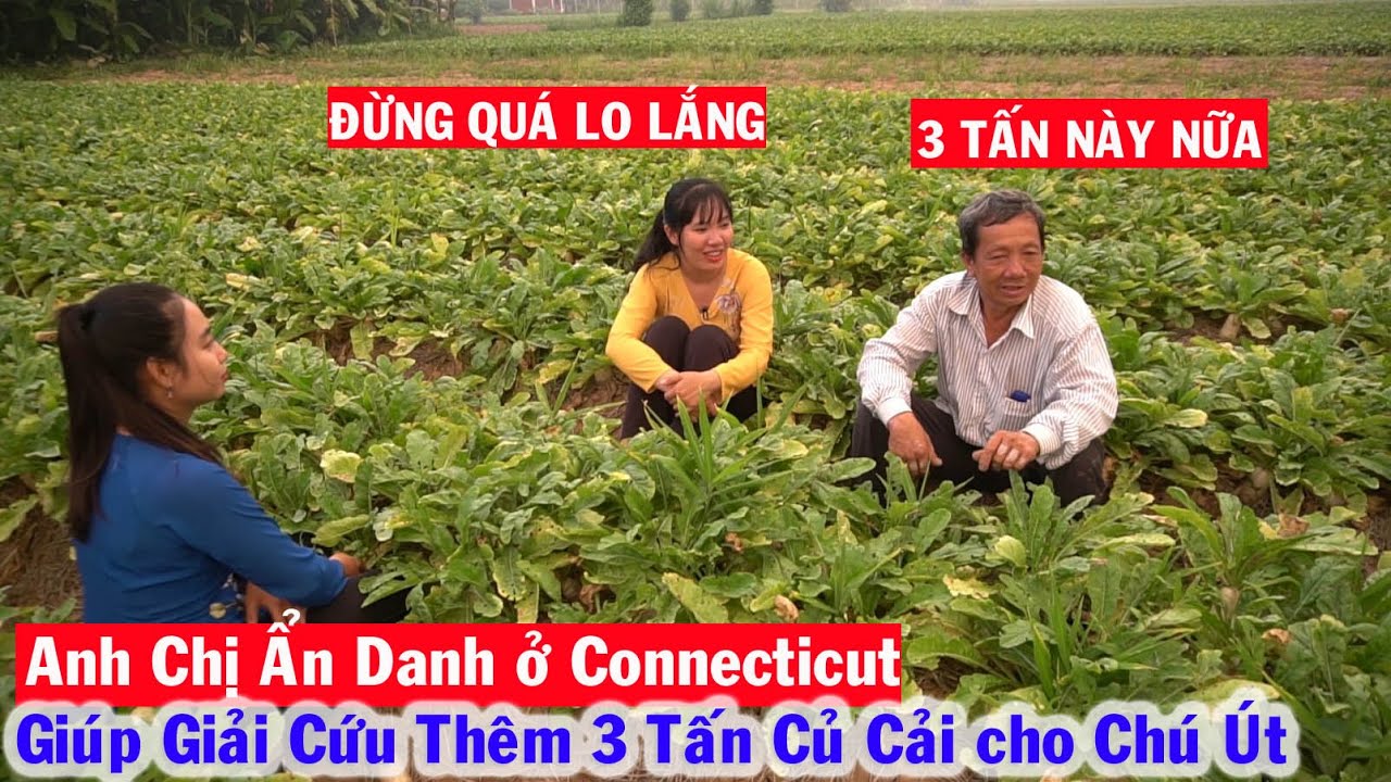 Chú Út Buồn Rầu Còn 3 Tấn Nữa Tính Sao Đây Thì được Anh Chị Ẩn Danh ở Connecticut Giải Cứu Hết