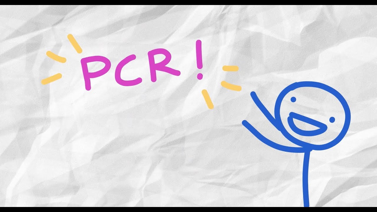 PCR for dummies - YouTube