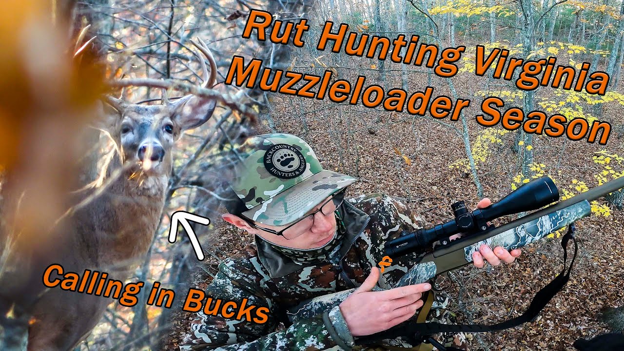 Rut Hunting Virginia Muzzleloader Season! DEER EVERYWHERE. Grunting In ...