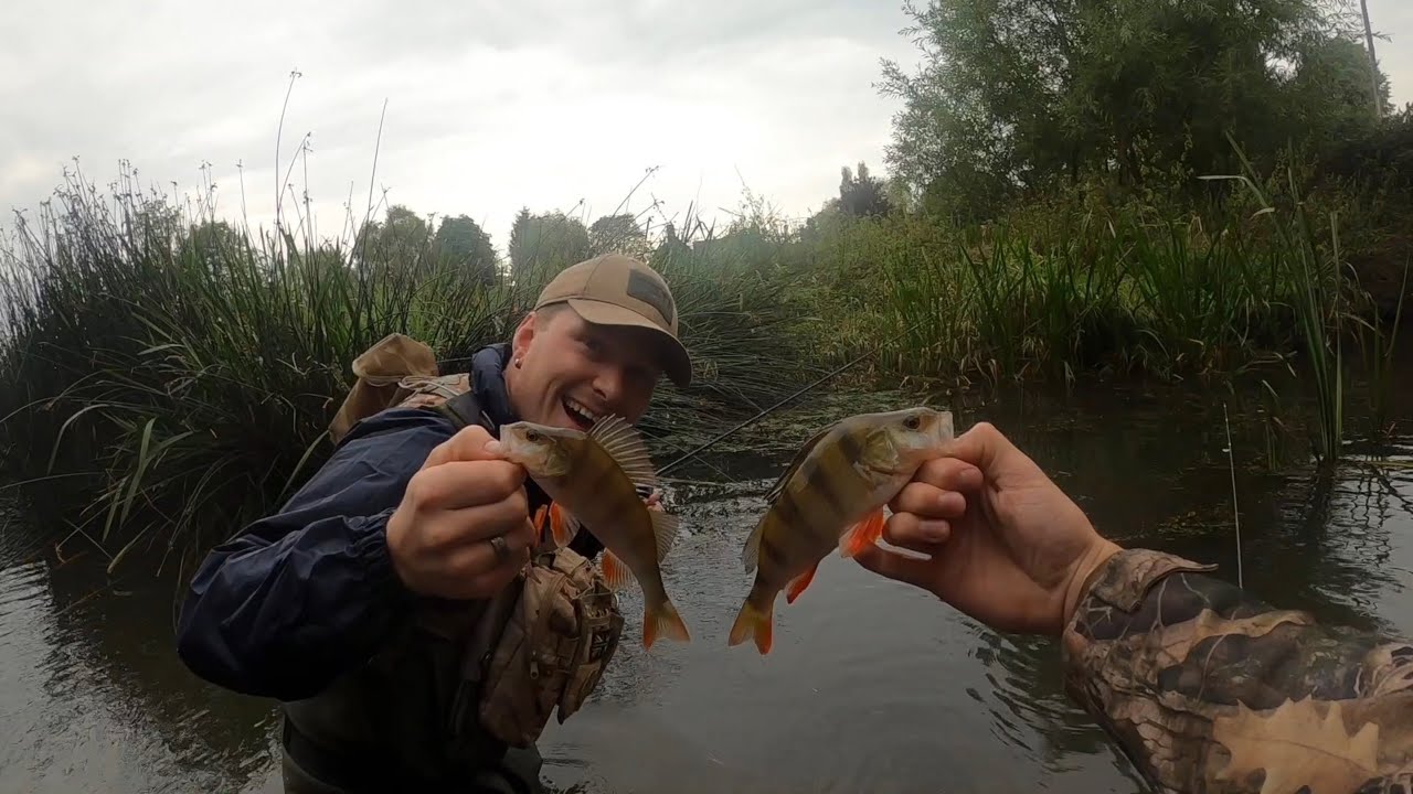 Creek Wading Is Always Different - YouTube