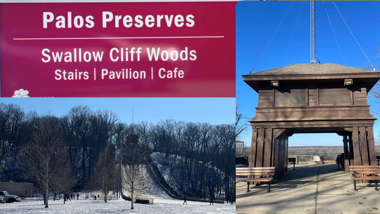 Palos Hills Swallow cliff woods stairs and trails #paloshills#trails # ...
