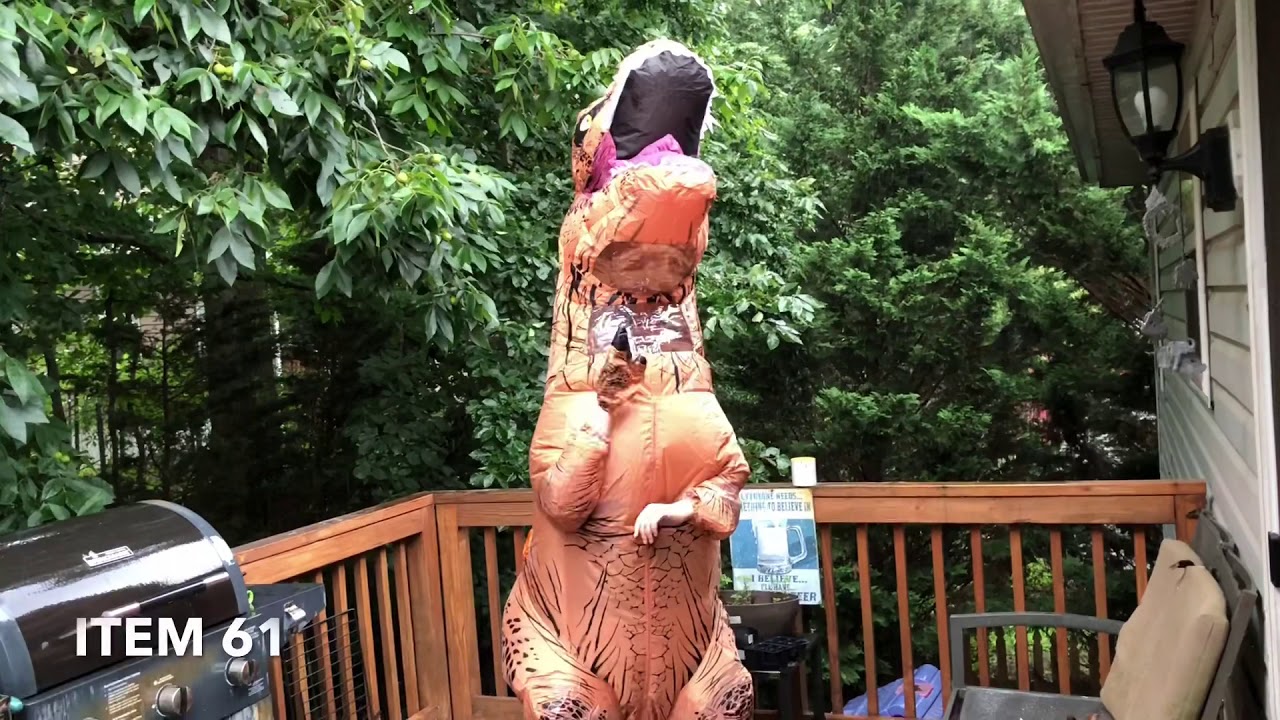 Gish 2018 mascot - bikinistat