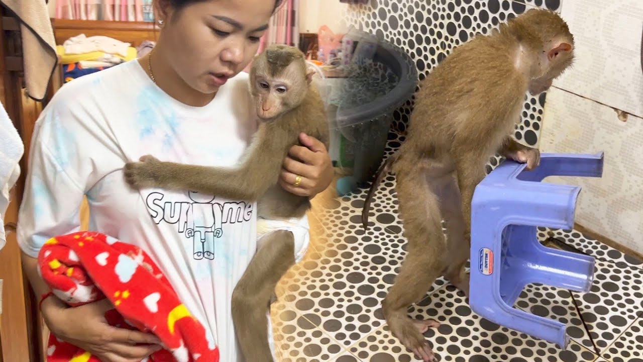 Judee With Her Sadddest Moment Before Go Bathing - YouTube