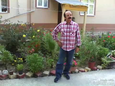 Mehmet Bozdoğan Yitirdim yavrumu yol kenarında u.h.