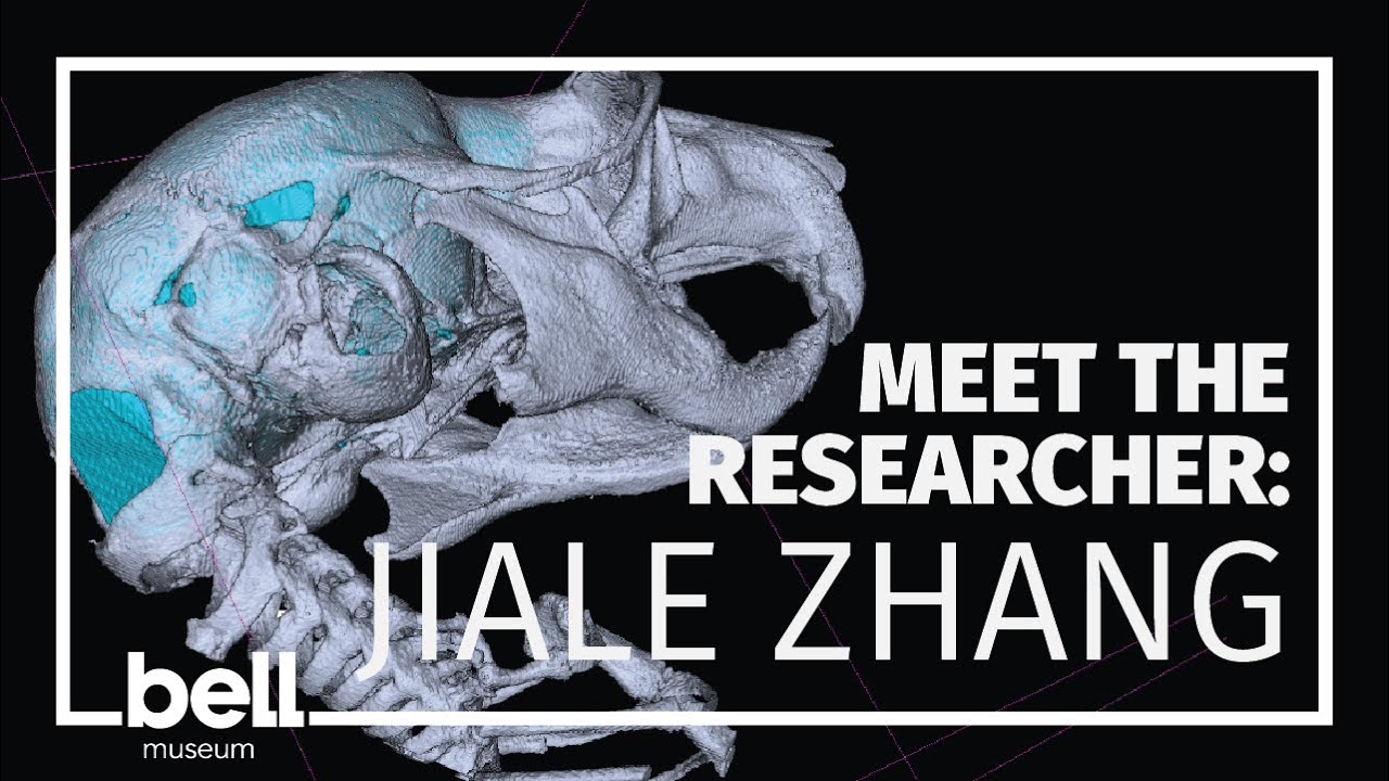 Meet the researcher: Jiale Zhang - YouTube