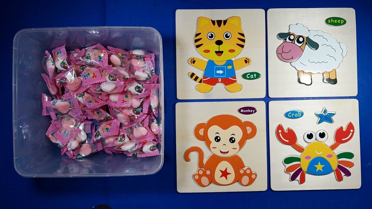 Mainan Puzzle Kucing, Domba, Monyet, Dan Kepiting Dalam Kotak Permen ...
