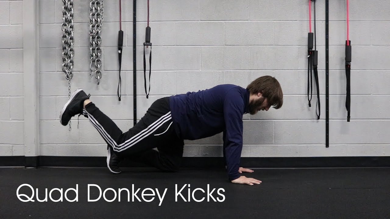 Quad Donkey Kicks - YouTube