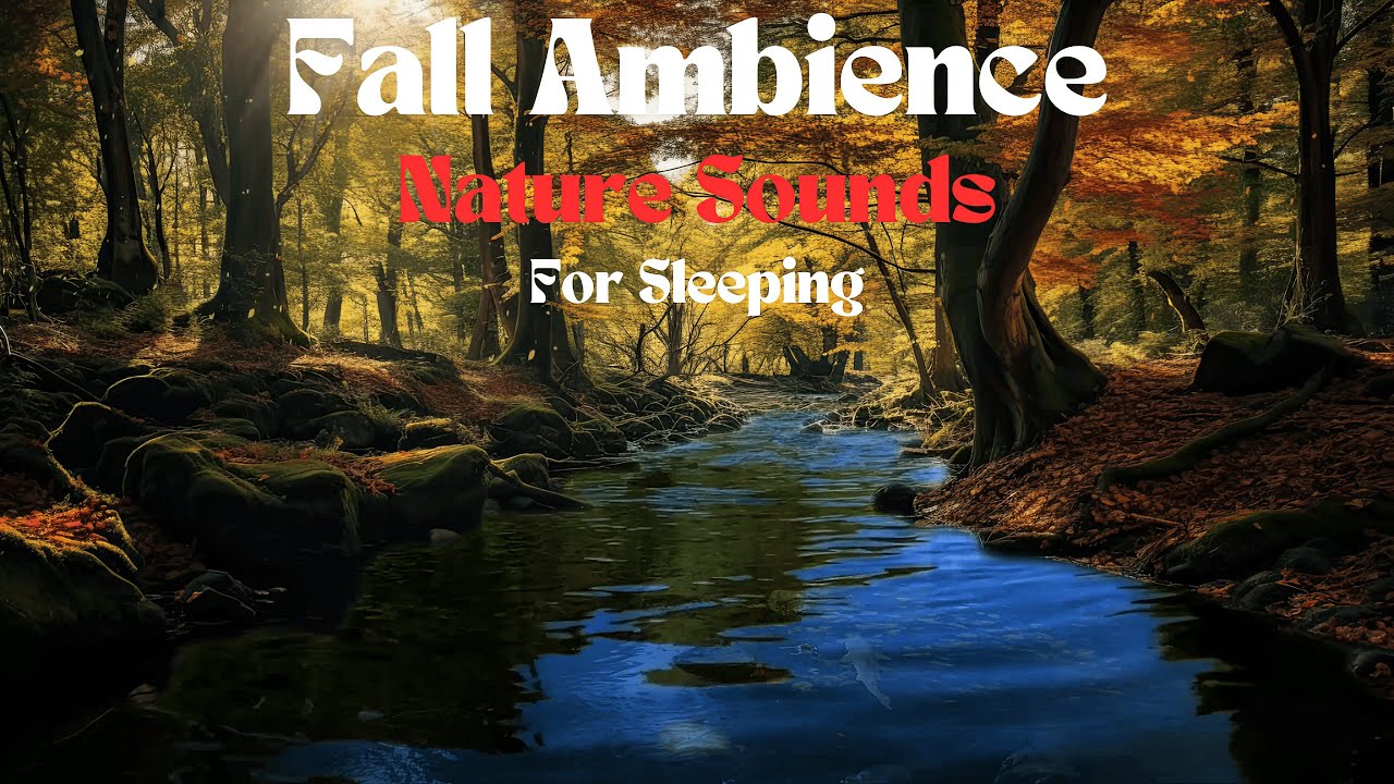 Fall ASMR Nature Ambience Relaxing Nature Sounds Autumn White Noise ...