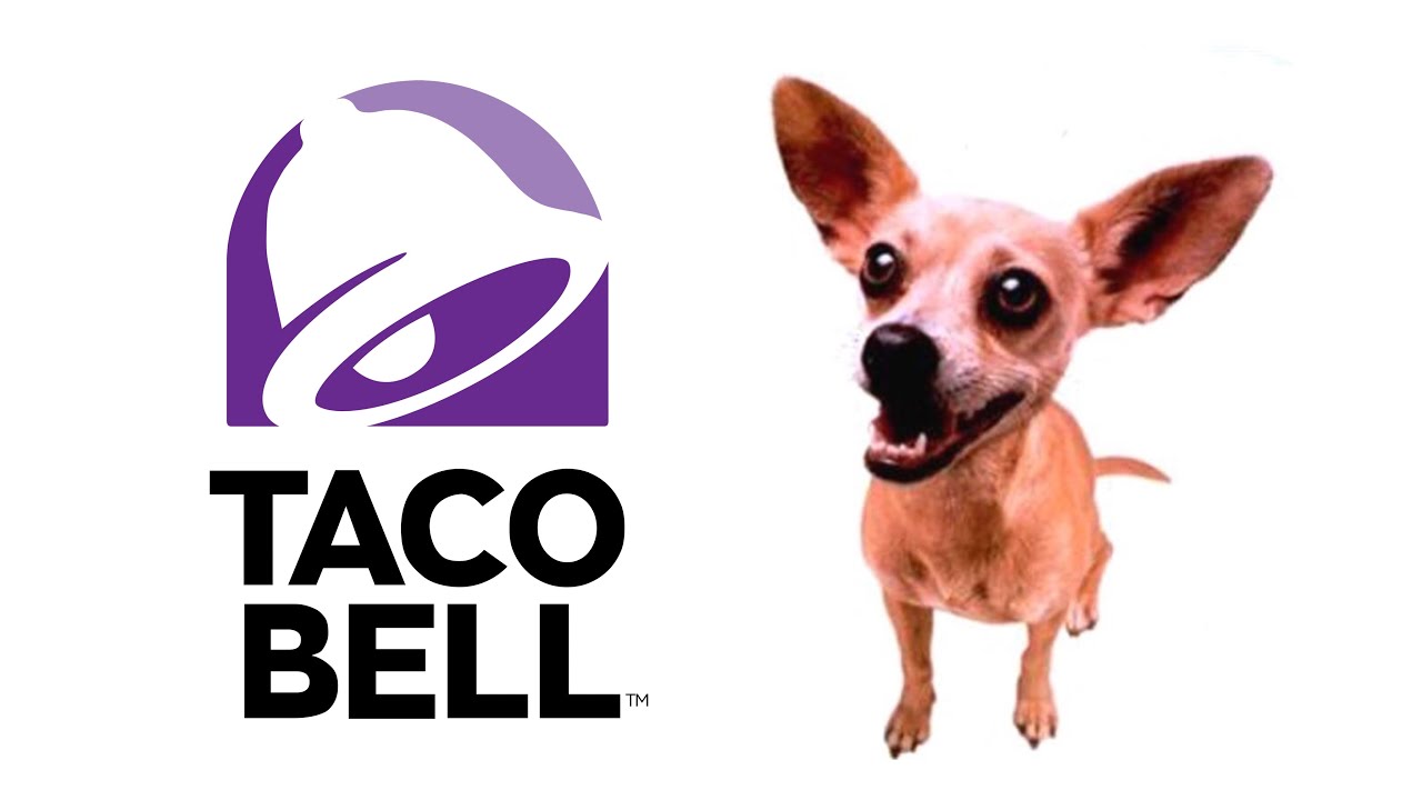 I ran over the Taco Bell dog! - YouTube