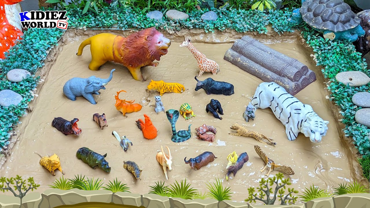 Learn Jungle Forest Animals Name & Sound with Zayan 🦁🐅 Fun Learning ...