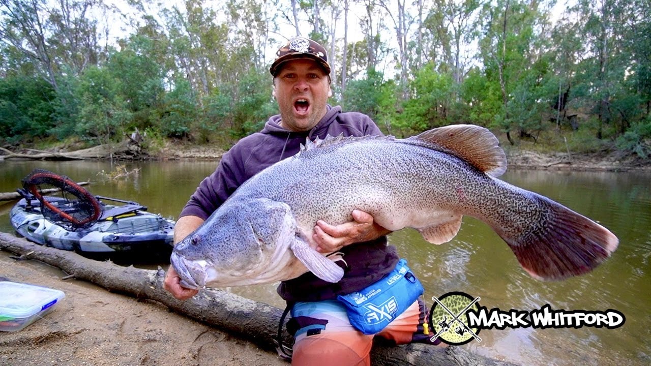 My FIRST METER MURRAY COD - Off the TOP! - YouTube