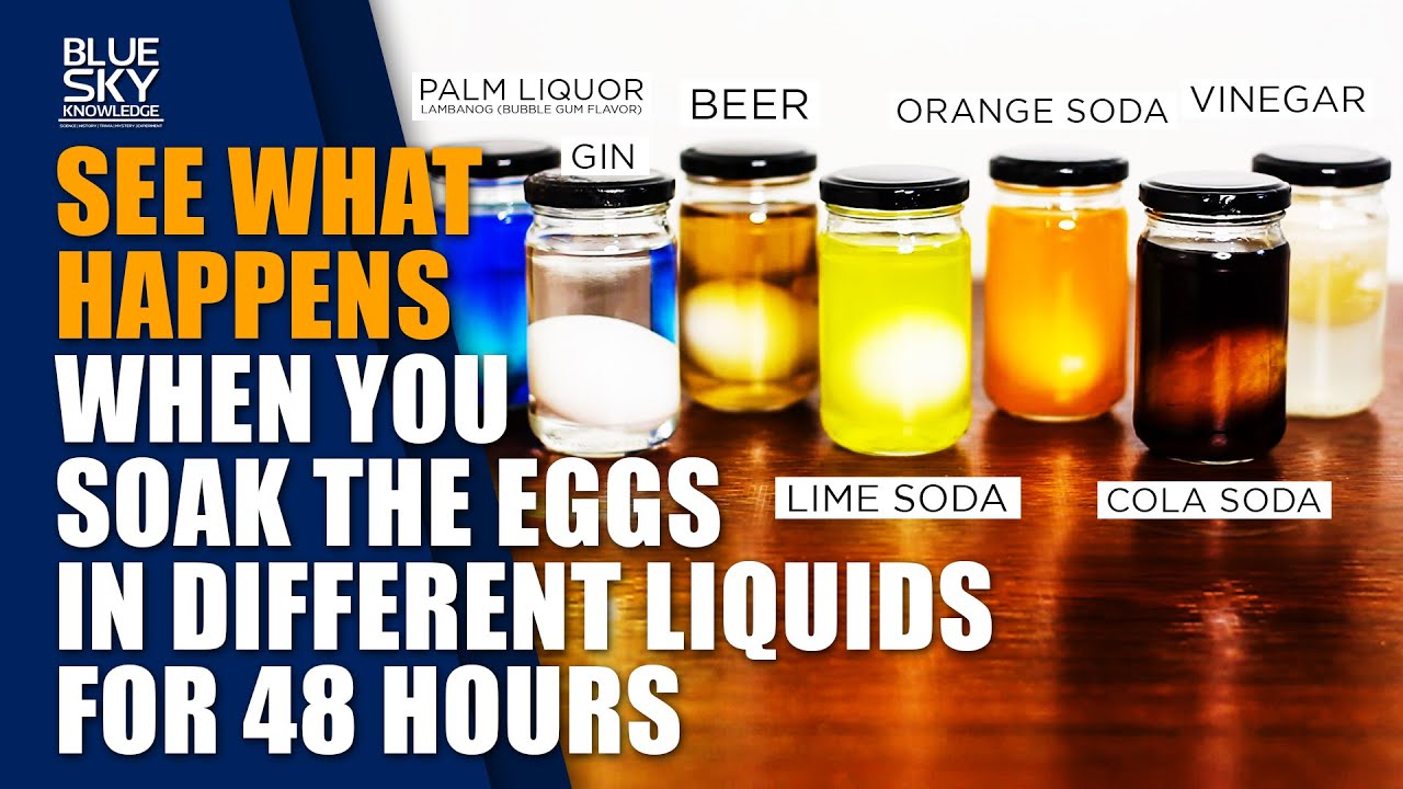 Experiment: Soak an Egg for 48 Hours and See What Happens | Kunyu - YouTube