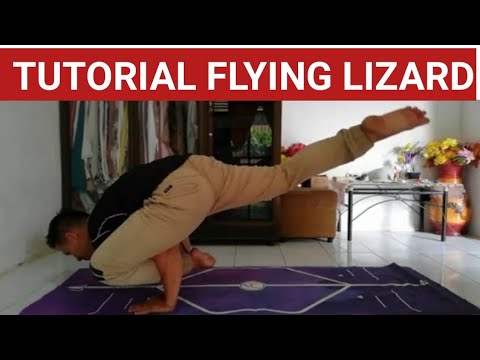 flying lizard pose || Cara flying lizard pose | utthan pristhasana ...