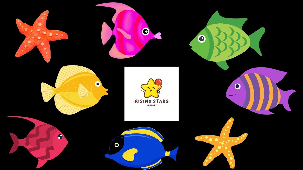 Under the Sea Dancing- Ocean Adventure with colorful sea creatures 🐠🦀 ...