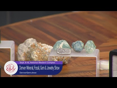 The Denver Mineral, Fossil, Gem and Jewelry Show Rocks! - YouTube