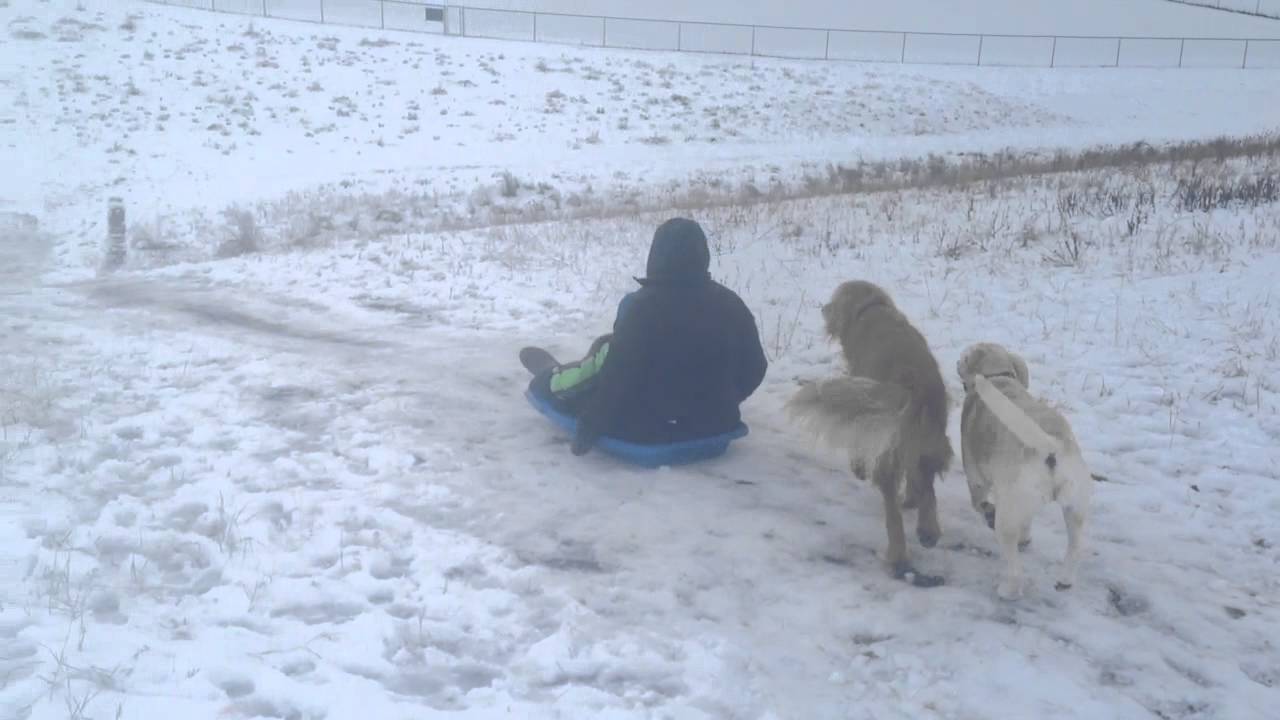 Turkey sledding 2 - YouTube
