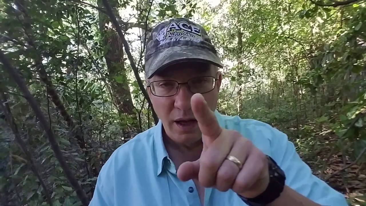 My Challenge To Primitive Trappers - YouTube