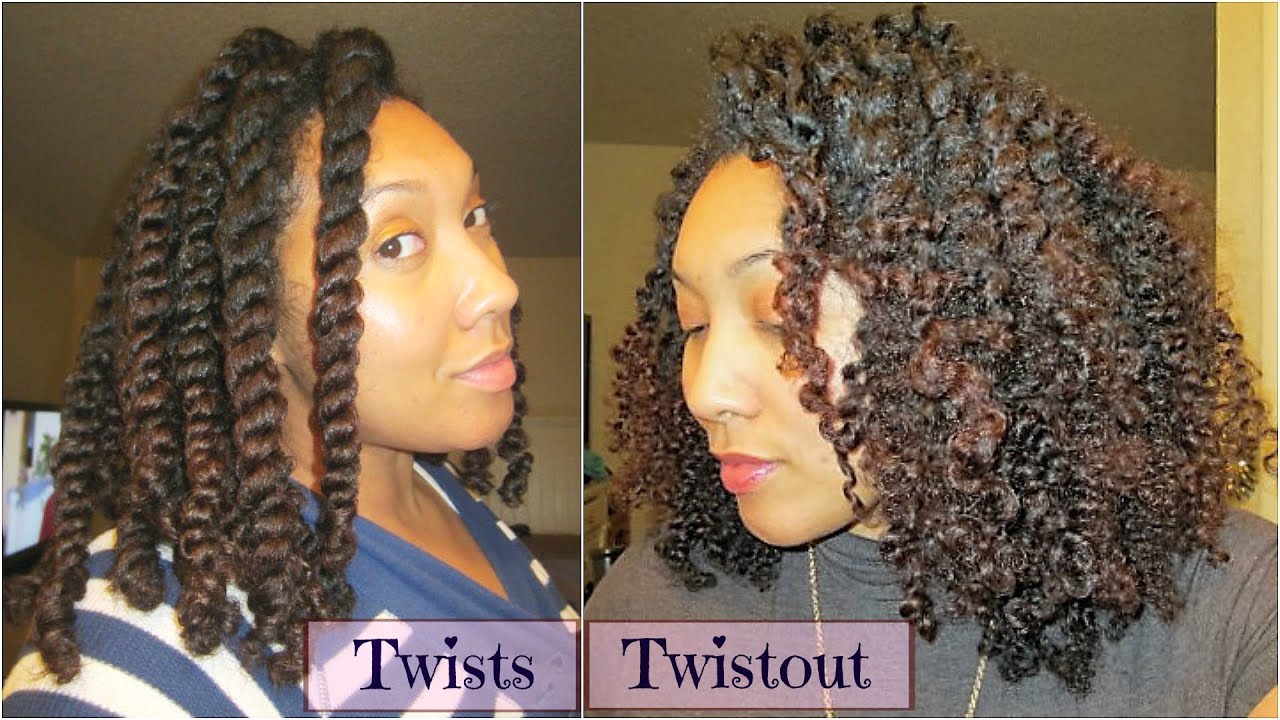 Dry Twist Tutorial for Moisture and Length Retention | Ashkins Curls ...