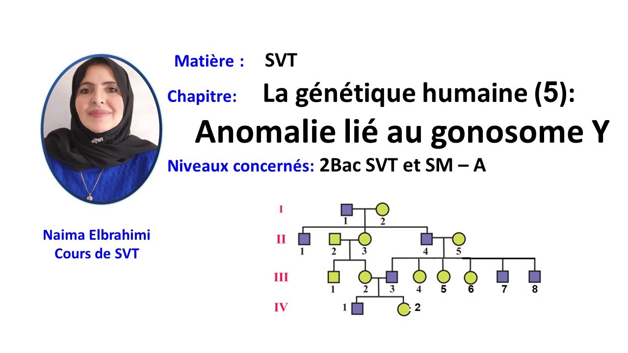 Cours SVT 2 Bac Biof: La génétique humaine (5): Anomalie liée au ...