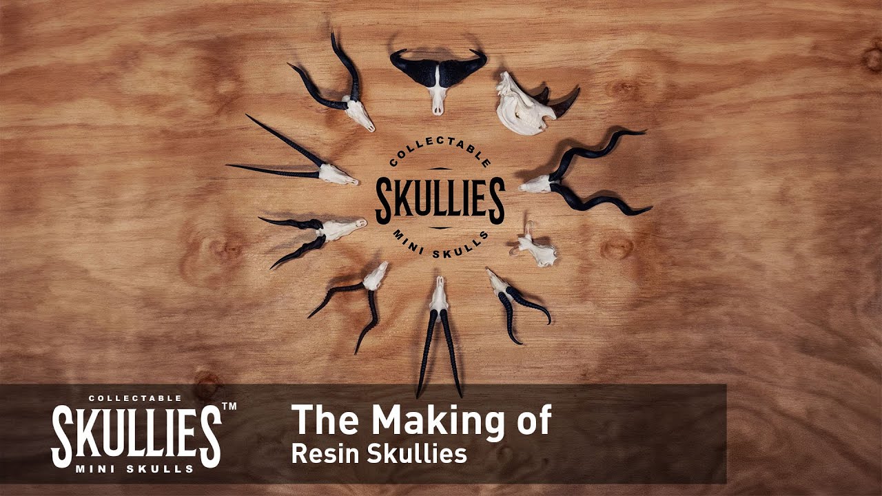 Skullies | Little skulls making a big impact | Introducing Skullies ...