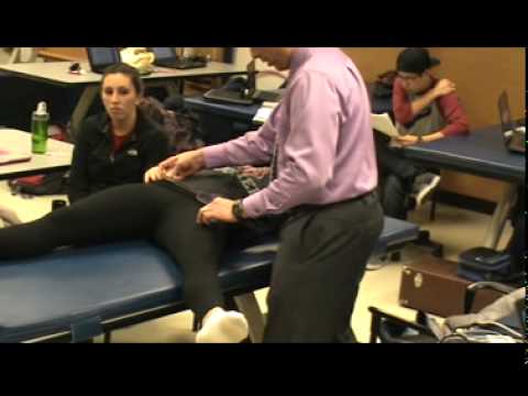 Goni Hip flexion Extension Abd Add IR ER JD - YouTube
