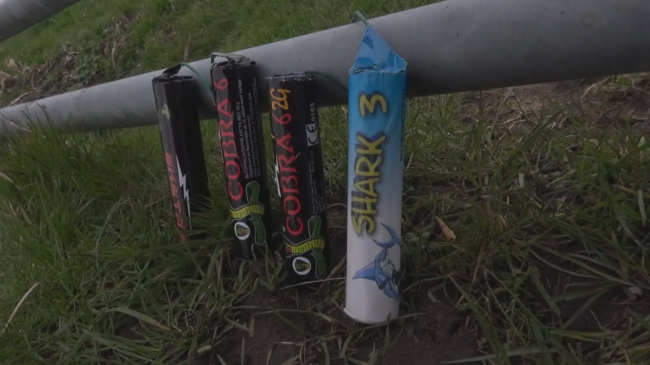 Cobra 6 Ekstra vs. Cobra 6 vs. Cobra 6 2g vs. Shark 3 - YouTube