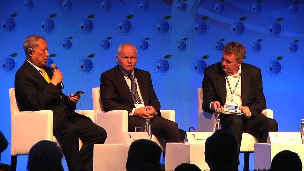 Siwei Cheng: Pytanie brzmi nie czy, tylko jak państwo powinno ingerować ...