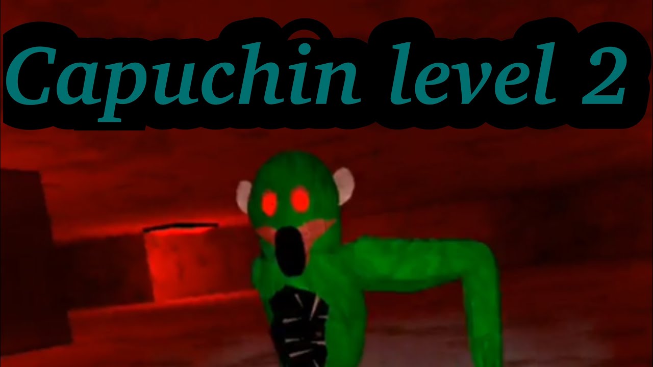 Capuchin level 2 fun - YouTube
