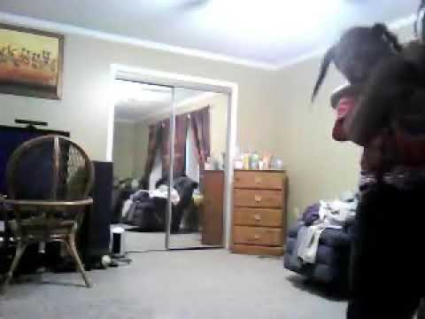 Eisha Fighting When She Was Little🤣💀 @therealeisha @ayo.eishaa # ...