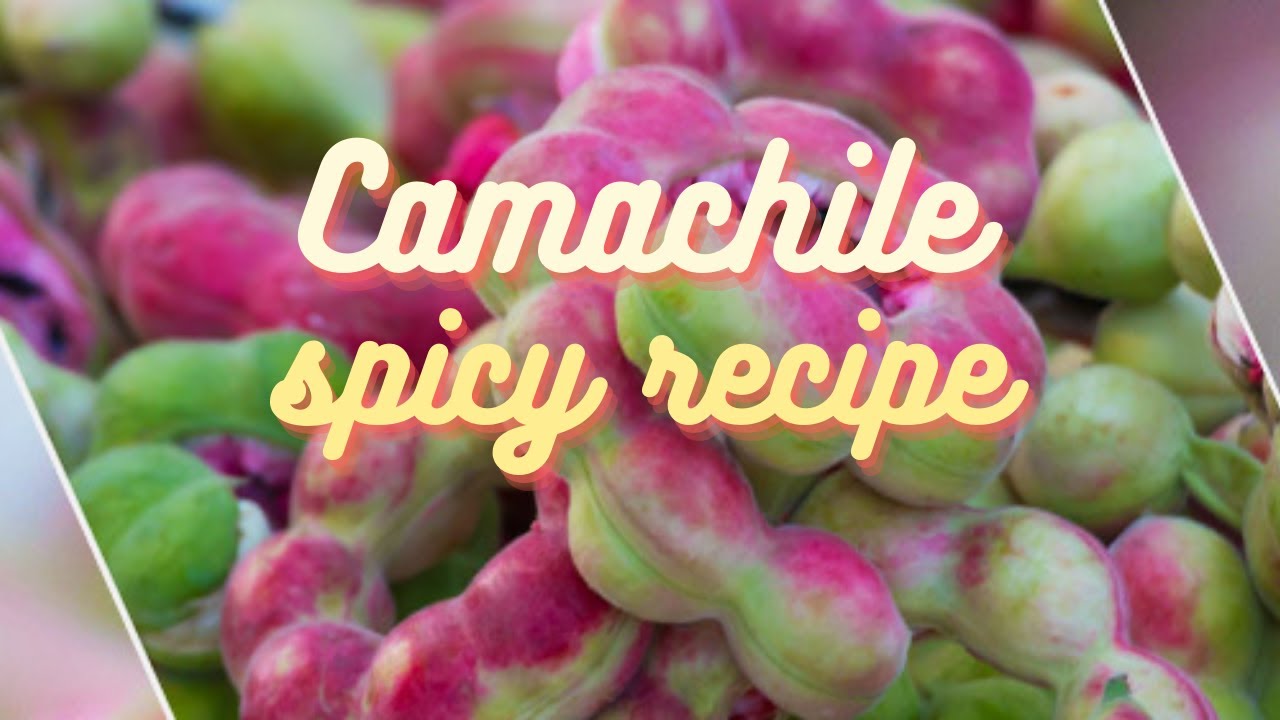 Jungle Jilebi Masala | Camachile fruit spicy recipie in Telugu! - YouTube