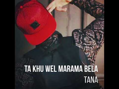 Rasha Ka Dá Stargu Zor De GuRé😍PasHto RominTiC Status😘