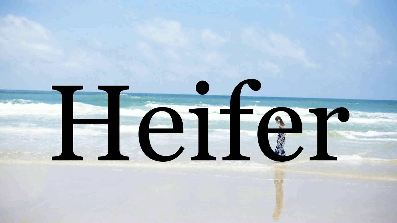 How To Pronounce Heifer🌈🌈🌈🌈🌈🌈Pronunciation Of Heifer - YouTube