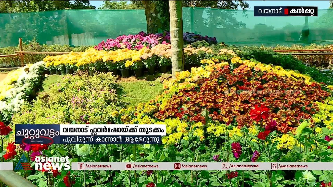 കാഴ്ചയുടെ വസന്തം, വയനാട്ടുകാരേ ഓടി വാ..ഫ്ലവർഷോ കാണാം | wayanad flower ...