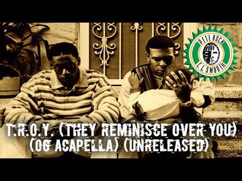 Pete Rock & CL Smooth - T.R.O.Y. (They Reminisce Over You) (Original ...