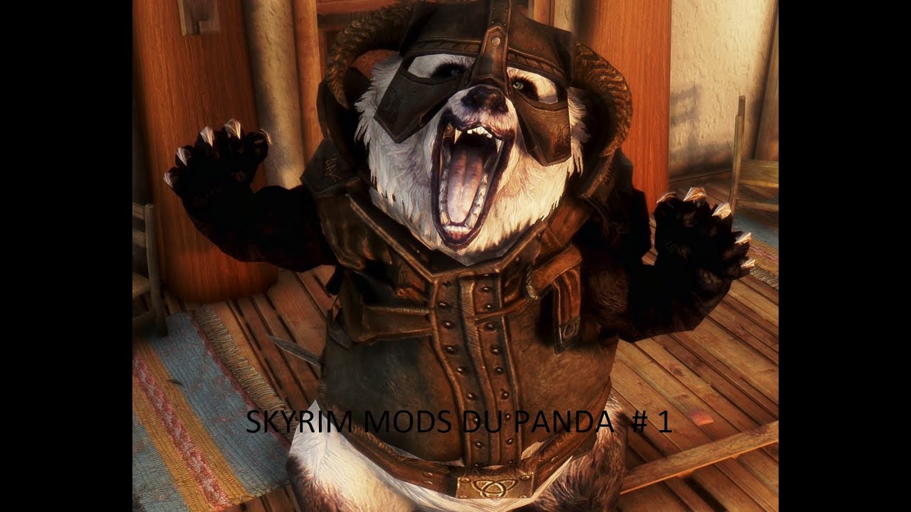 SKYRIM MODS #1 [FR] les mods du pandas - YouTube