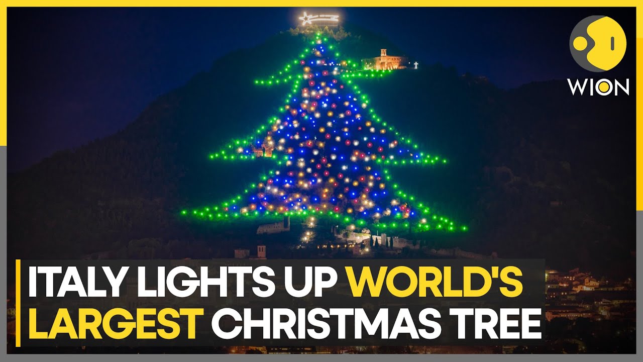 Italy: World's largest Christmas tree lights up on a hill | WION - YouTube