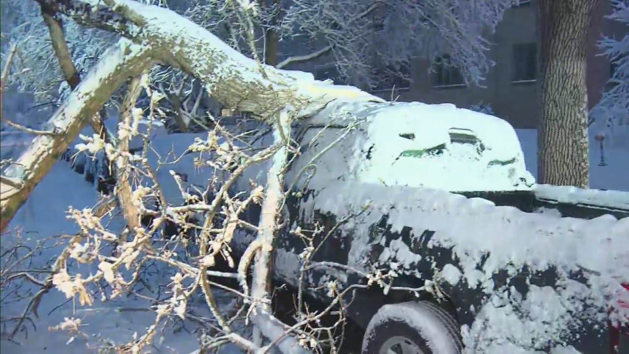 'Ridiculously Heavy': Spring Snow Breaks Branches, Causes Power Outages ...