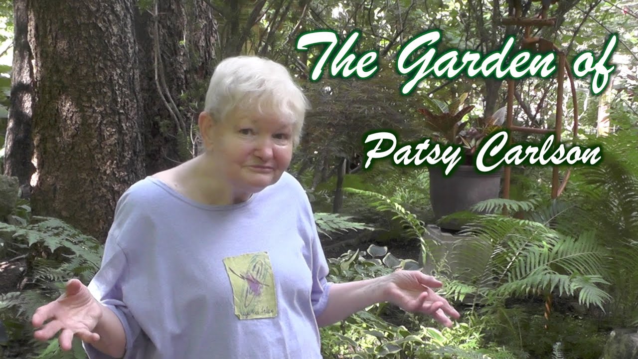 Garden of Patsy Carlson - YouTube