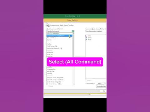 How to enter data using (Form) option, Secret Data Entry in excel - YouTube