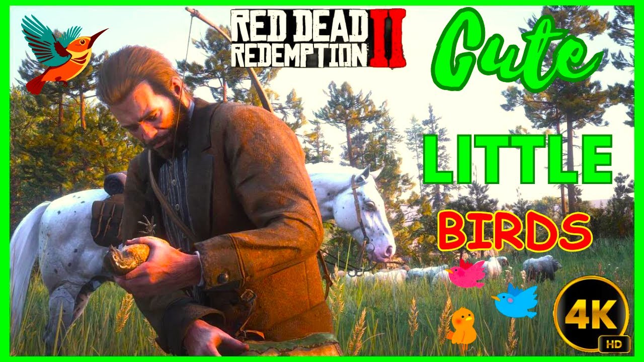 Hunting for birds [ 4K HDR ] Red Dead Redemption 2 #reddeadredemtion2 # ...