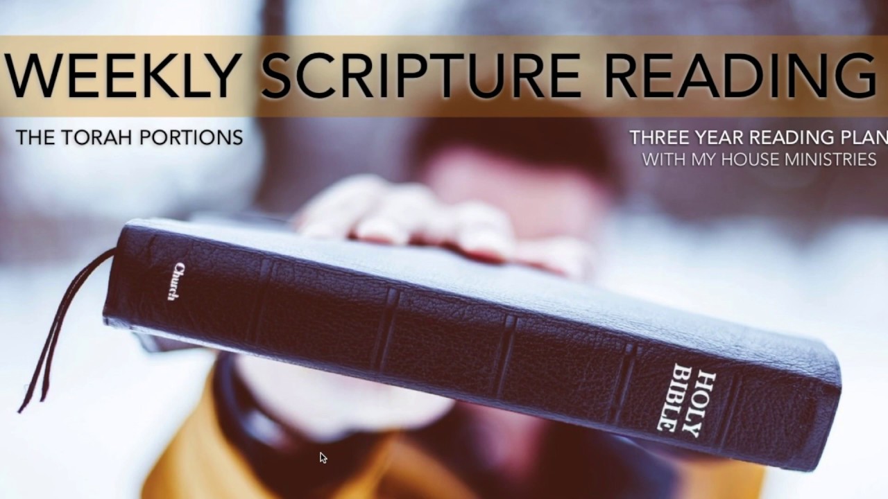 Announcement! - Weekly Scripture Reading: New Torah Portions W/ My ...