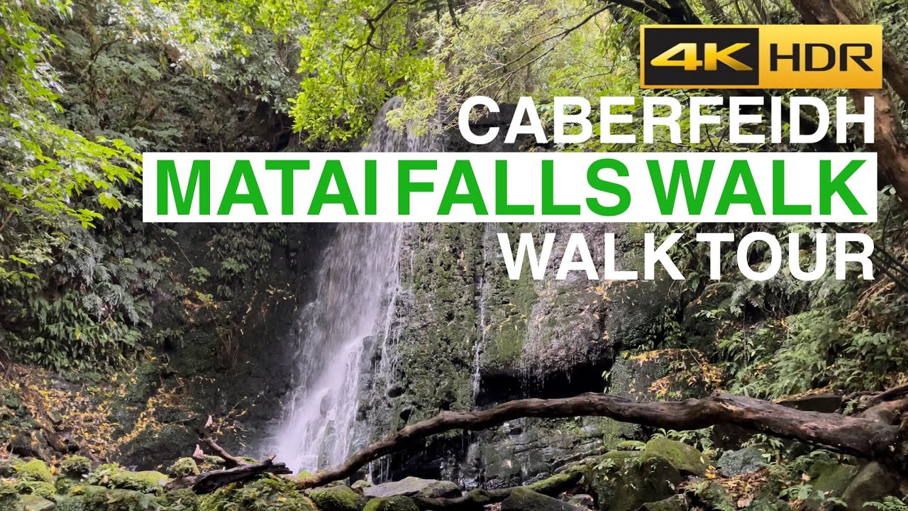 Matai Falls Walk New Zealand 4K - YouTube