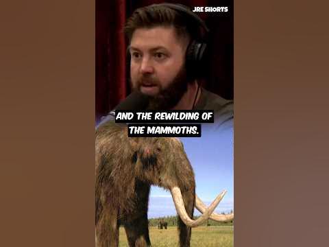 Bringing Back the Woolly Mammoth - YouTube